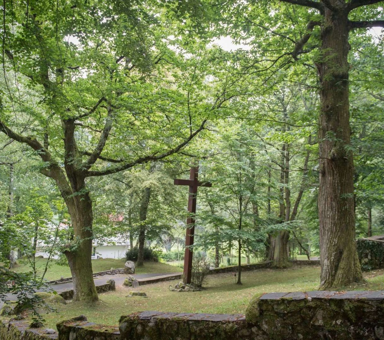 Textes et chants : Messe du 14 juin 2026 à Lourdes - Jour du Seigneur