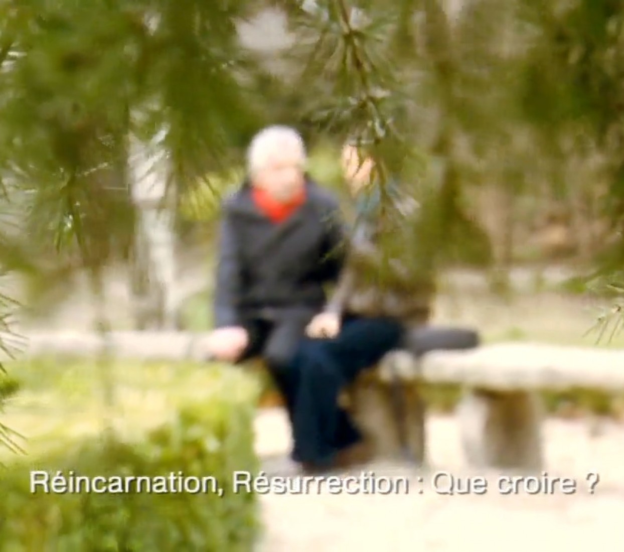 Réincarnation, Résurrection : Que croire ? - Jour du Seigneur